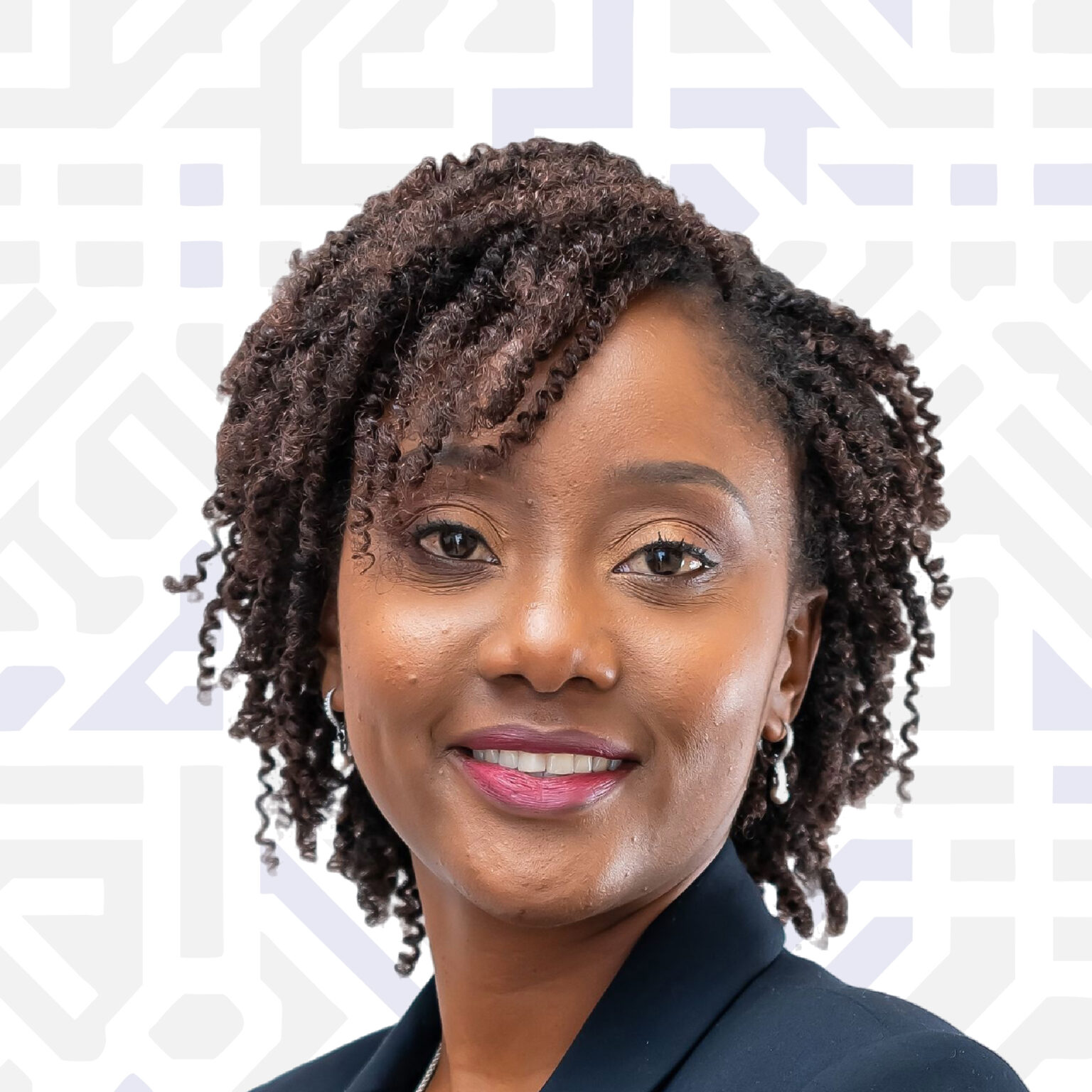 Africa Climate Ambassadors – Continental expert leaders in climate and ...